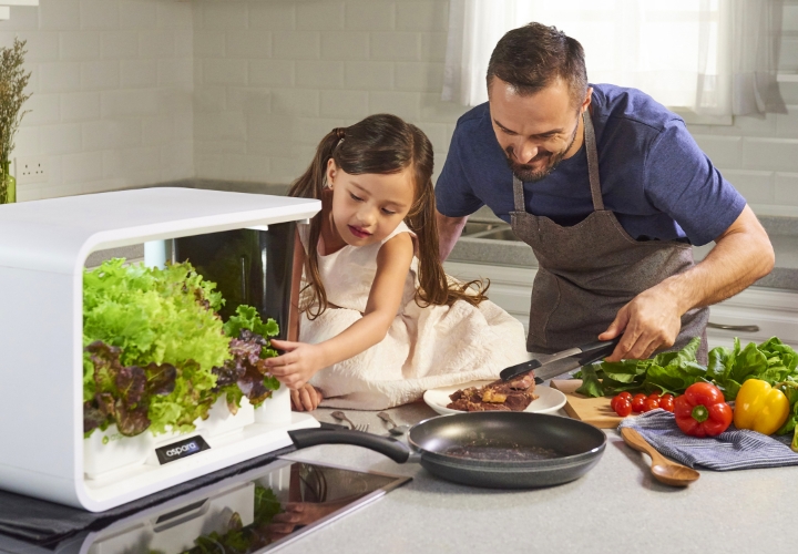 growgreen – Fresh veg and smart systems