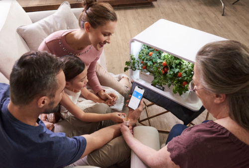 growgreen – Fresh veg and smart systems