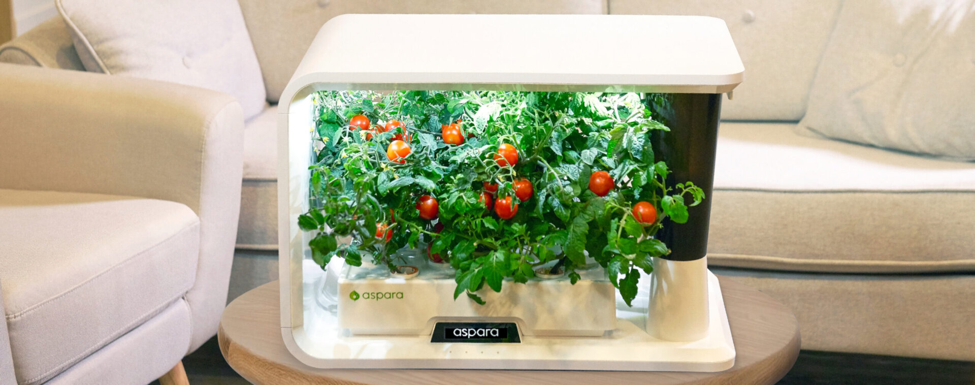 growgreen – Fresh veg and smart systems