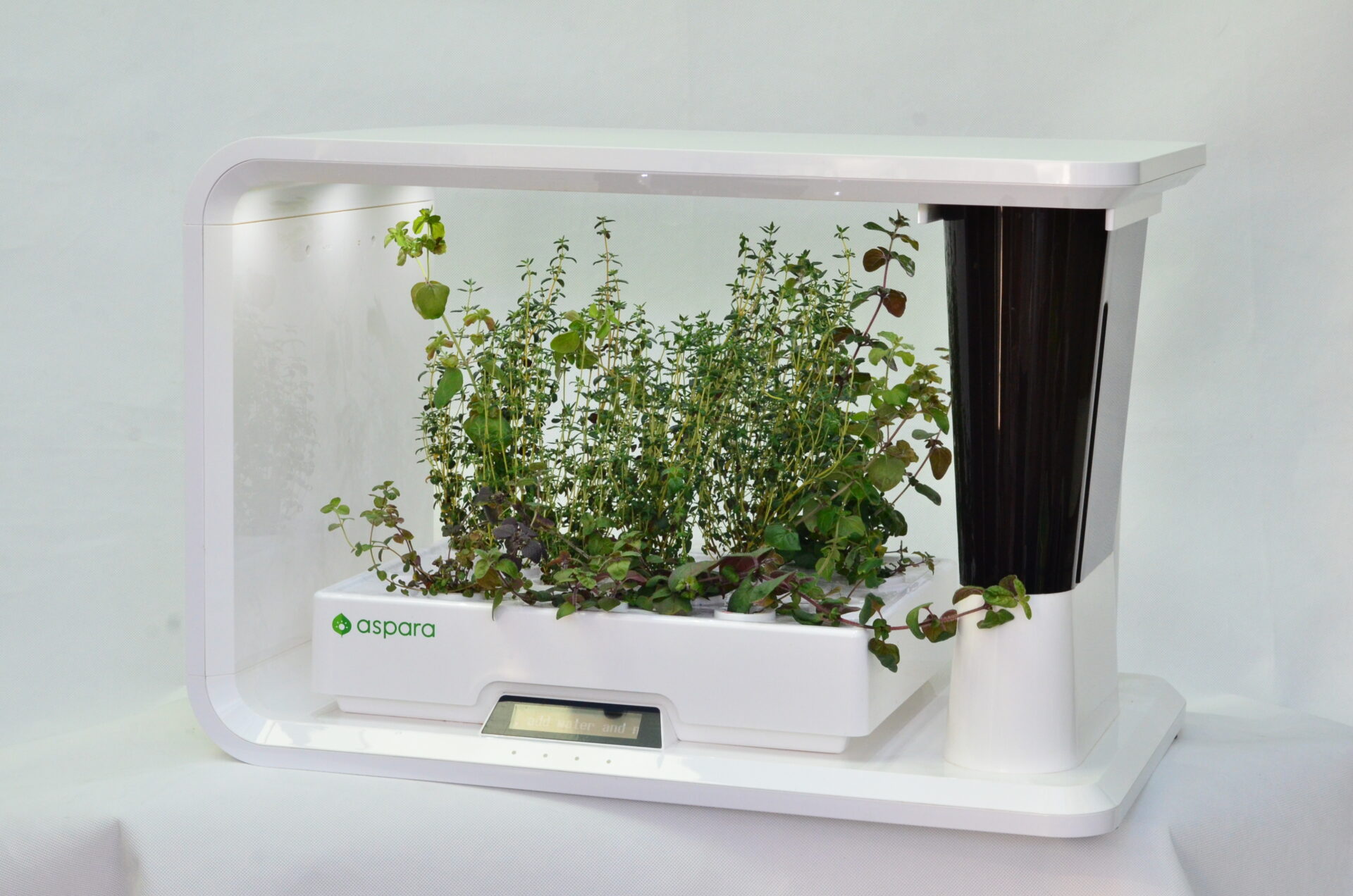 Hydroponic System - Easy Garden Kit Indoor Hydroponic System - growgreen