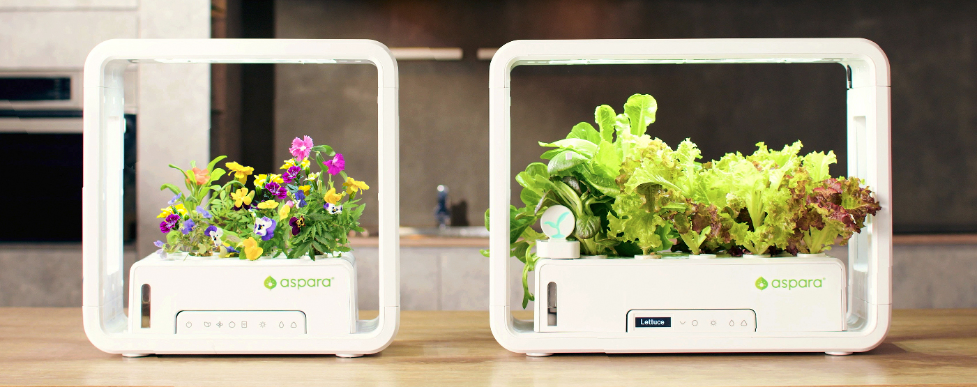 growgreen – Fresh veg and smart systems