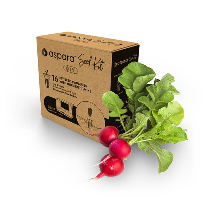 Red Radish - growgreen